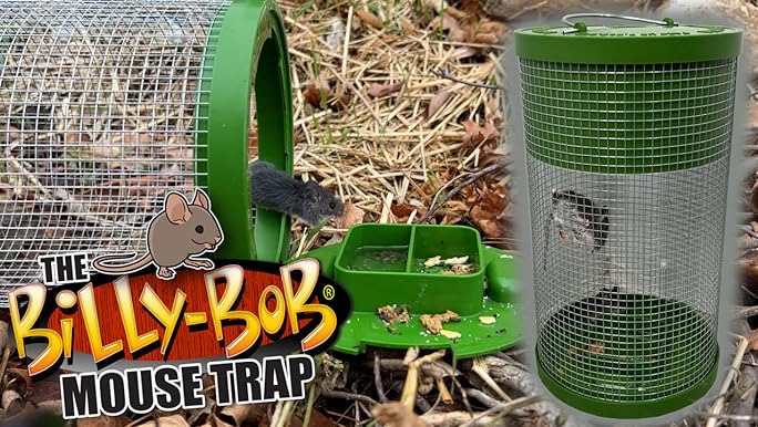 Billy Bob Multi-Catch Eco friendly Mouse Trap – As Seen On TV Hot 10